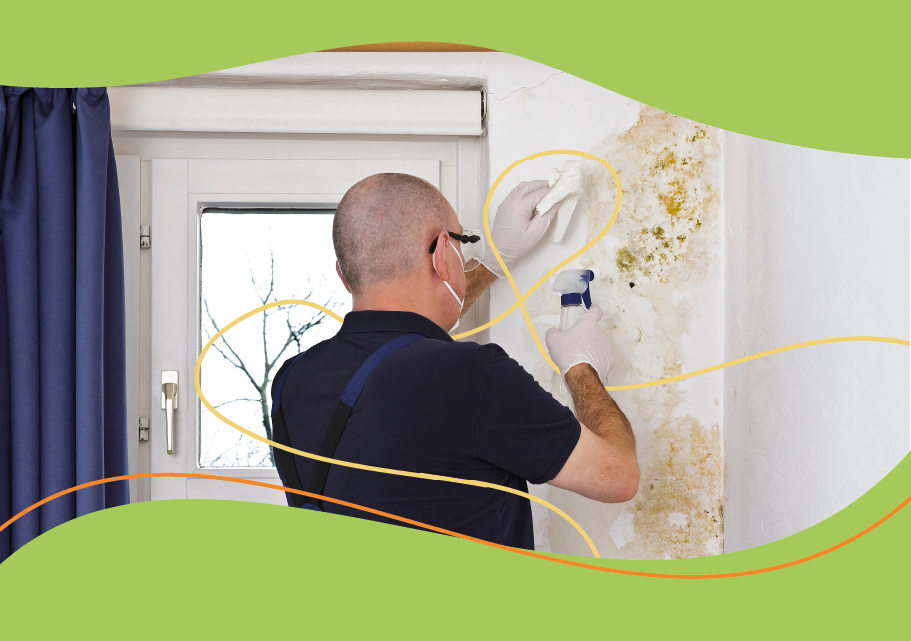 Damp and mould explainer guide